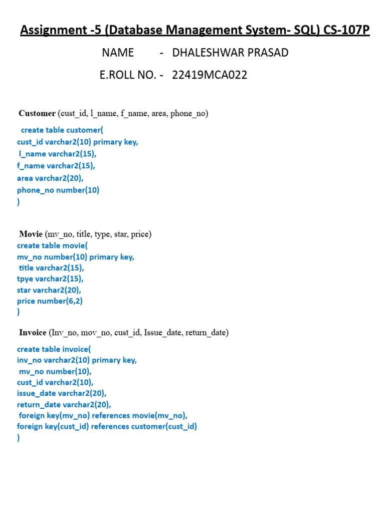 Assignment | PDF | Data Management Software | Data