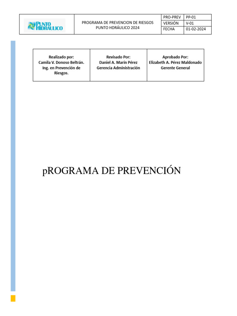 Programa Prevencion de Riesgos 2024 | PDF | Valores | Business