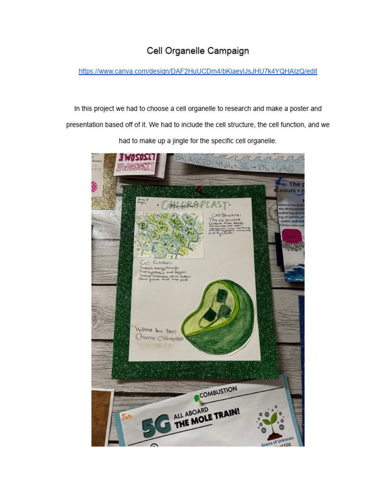 Cell Organelle Project 2 | PDF