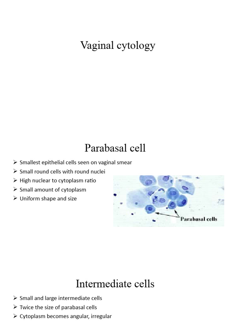 UG Practical Vaginal Cytology | PDF | Epithelium | Cell Nucleus