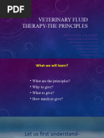 2024 AAHA Fluid Therapy Guide | PDF