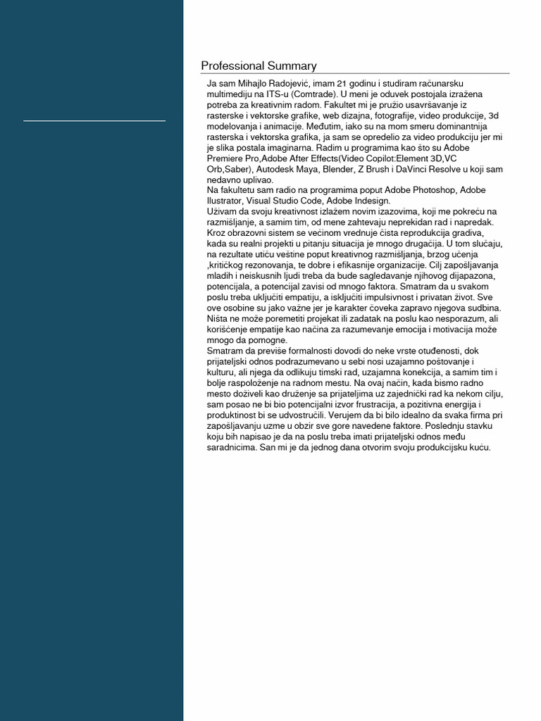 Professional Summary | PDF