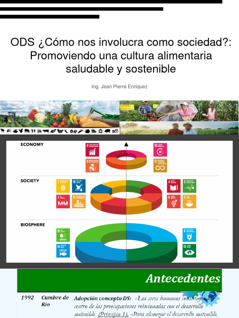 PROMOVIENDO UNA CULTURA ALIMENTARIA - ODS | PDF | Comportamiento | Dieta