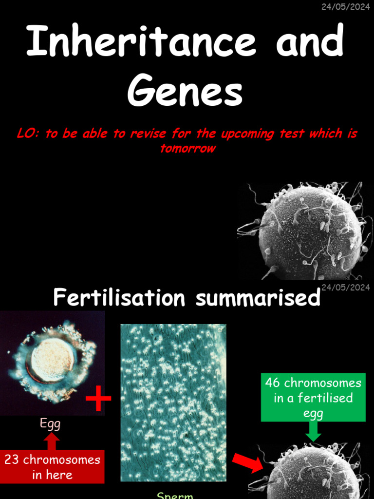Genetics of Inheritance and Traits | PDF | Dominance (Genetics) | Zygosity