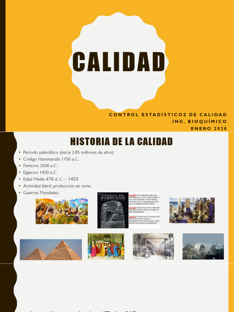 Introducción Calidad | PDF | Calidad (comercial) | Business