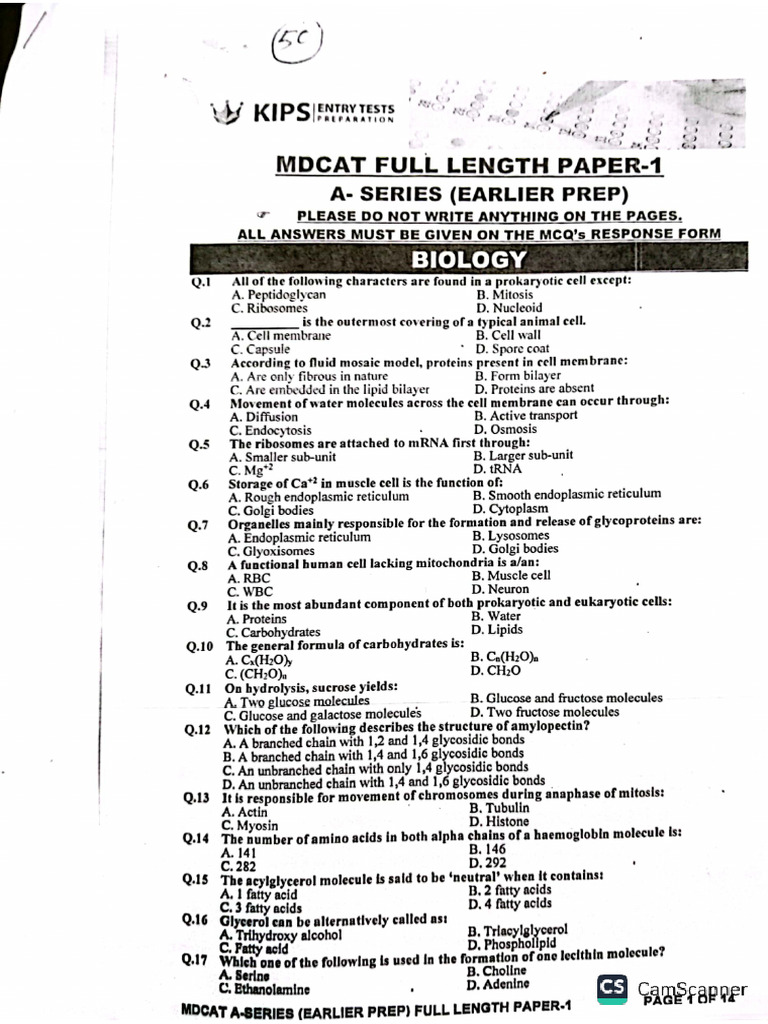 Kips First FLP With Key | PDF