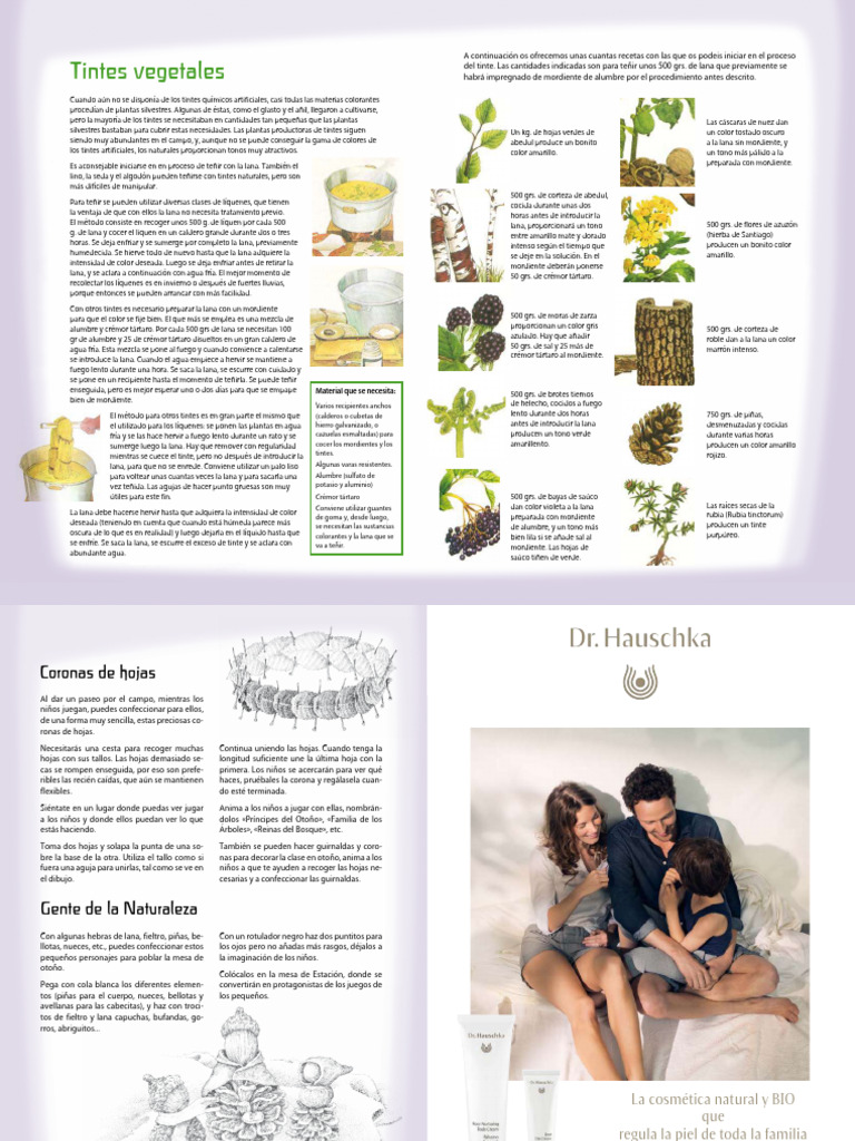 Tintes Vegetales | PDF | Tintura | Color