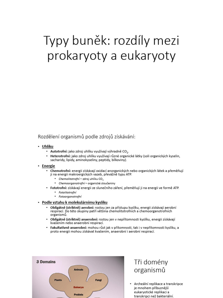 Typy Bunek | PDF
