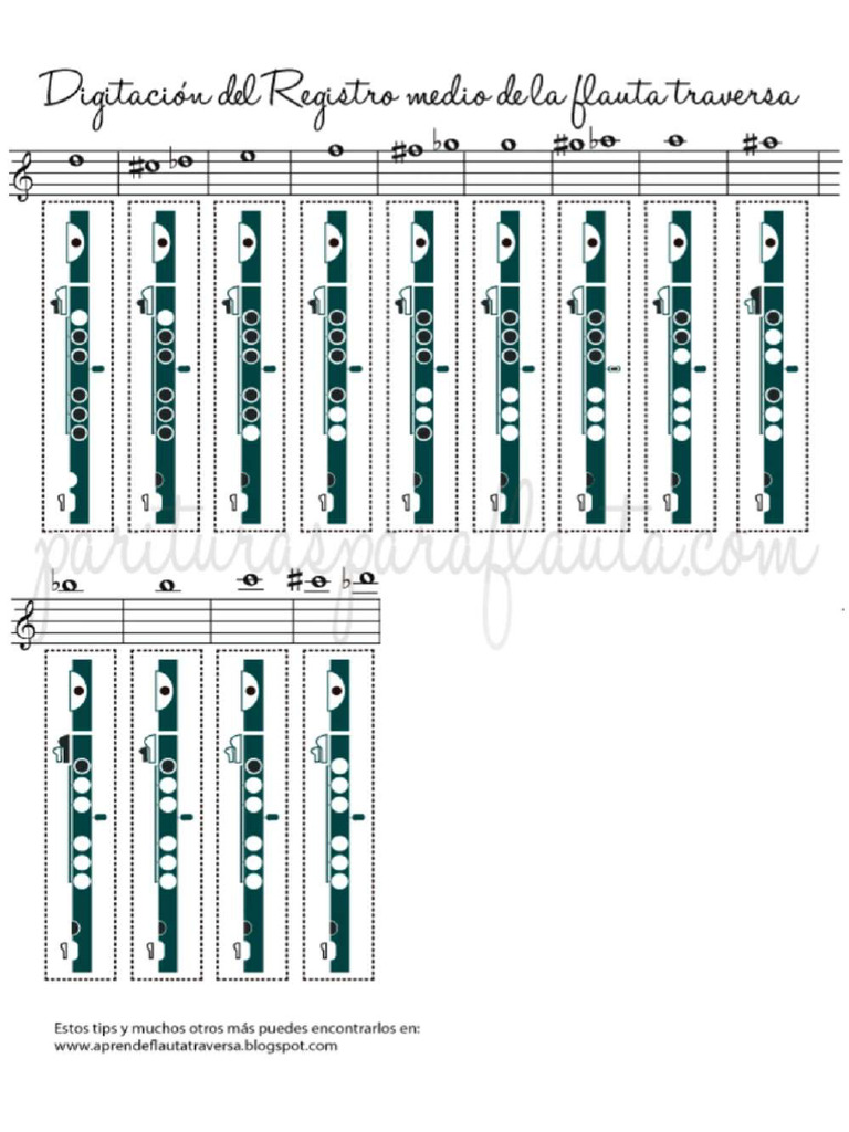 Notas en La Flauta 2 | PDF