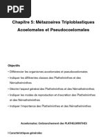 Définition et classification des métazoaires | PDF | Anatomie | Biologie