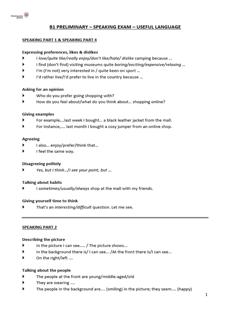 B1-Speaking-useful language | PDF