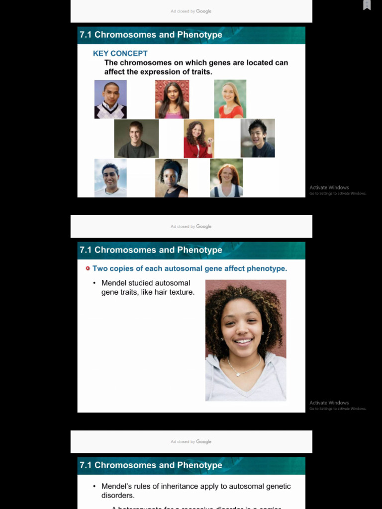 Geade 10 CH 7 Presentation | PDF