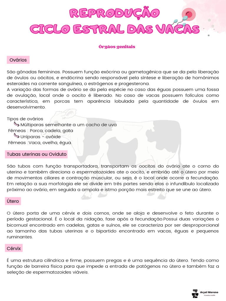 Ciclo Estral Vacas - Reprodução | PDF | Reprodução | Sistema reprodutivo