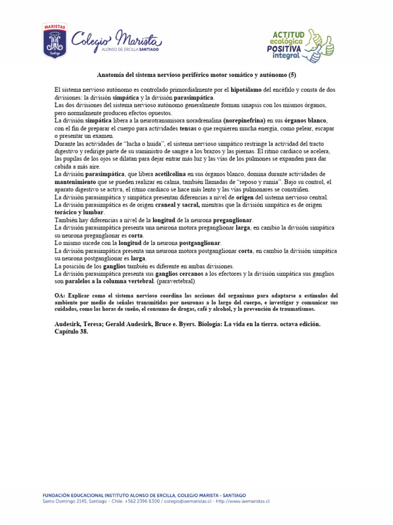 Guía Conceptual SNP-SNA | PDF | Sistema nervioso | Neuroanatomía