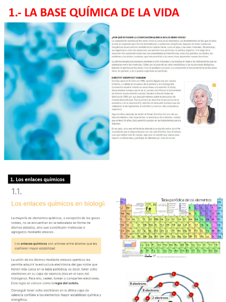 Unidad 1.- La Base Química de La Vida | PDF