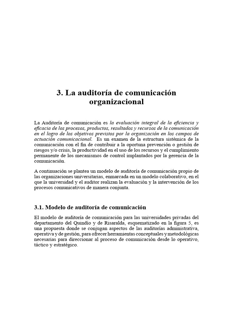 Captulo 3 | PDF | Auditoría | Planificación