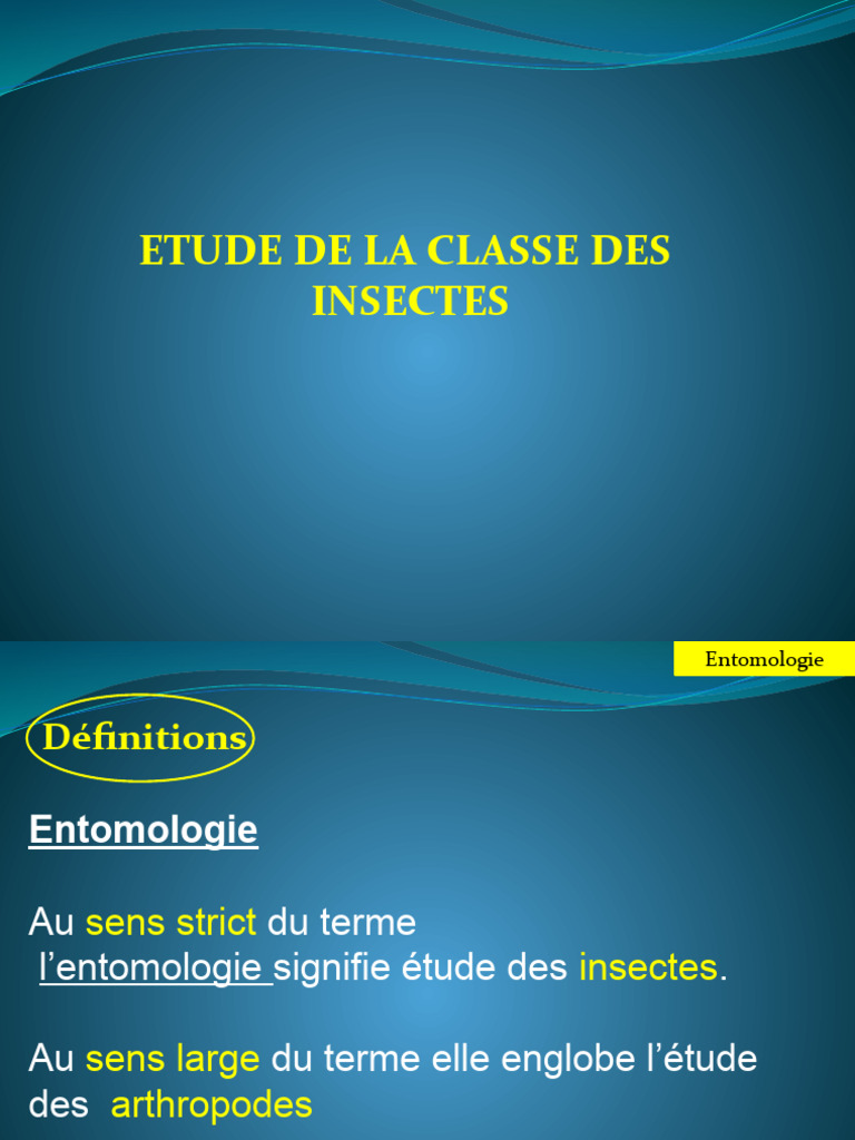 Introduction à l'Entomologie | PDF | Insectes | Mouche