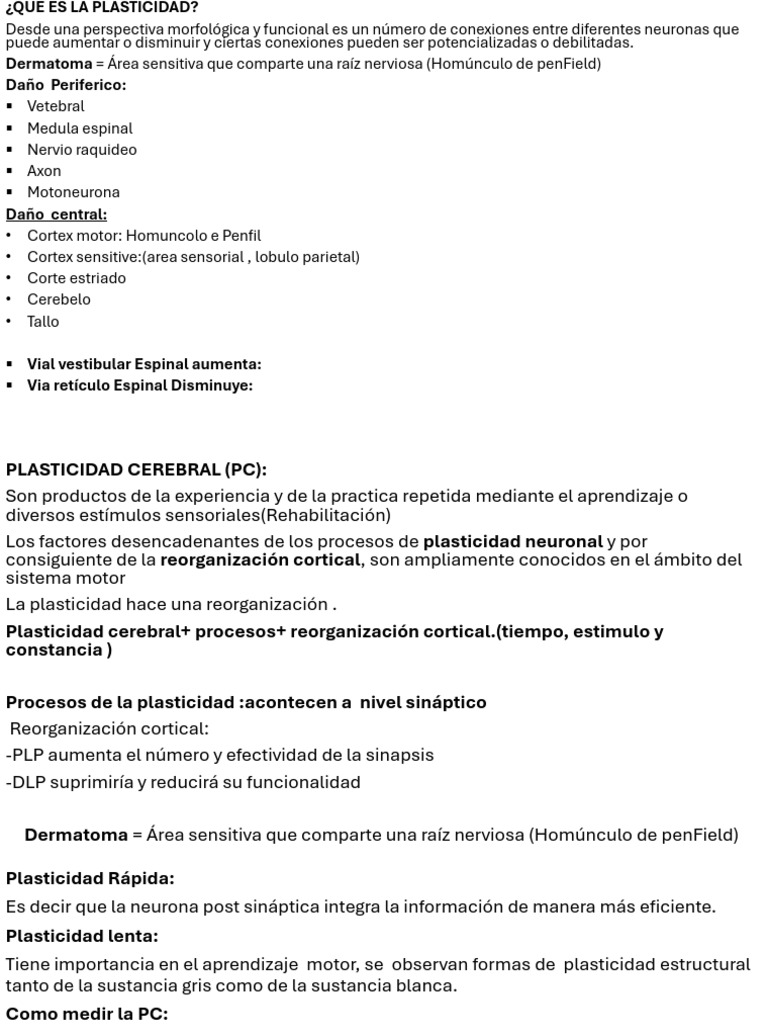 Guia Neuro II | PDF | Neuroplasticidad | Cerebro