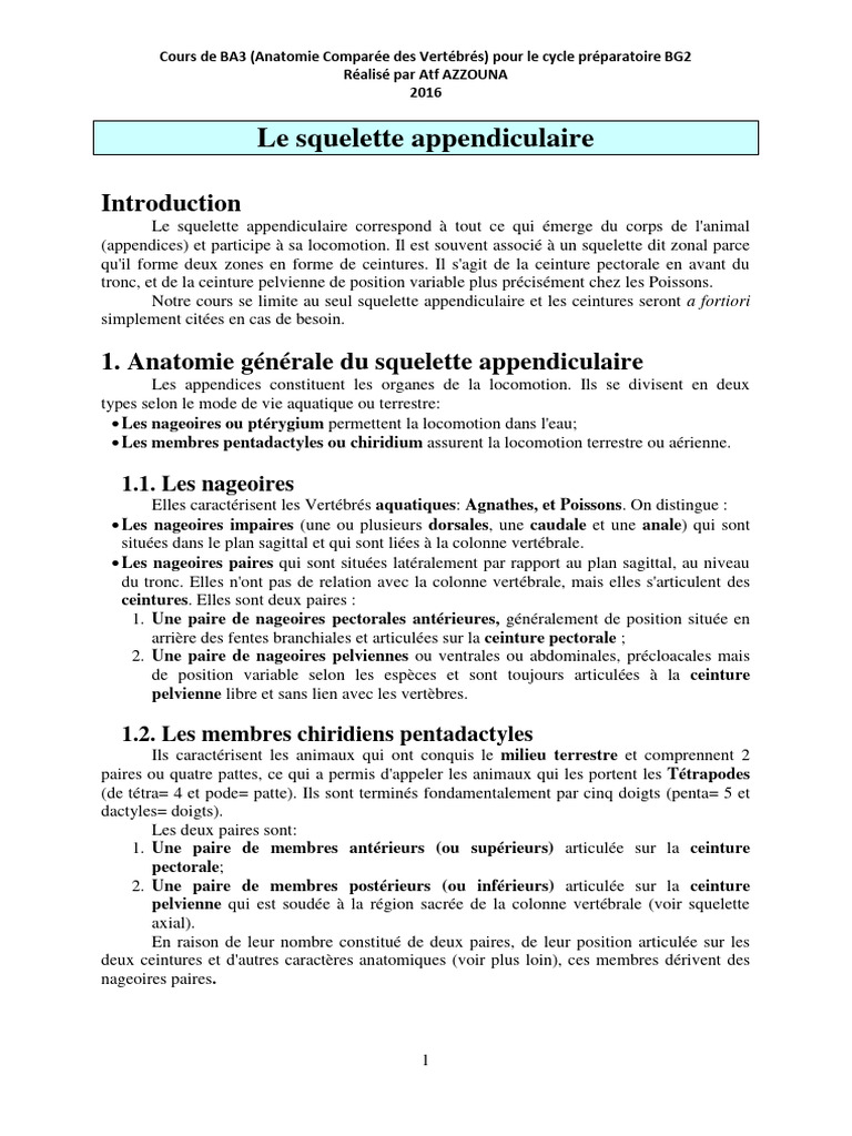 Anatomie du squelette appendiculaire | PDF | Appareil locomoteur ...