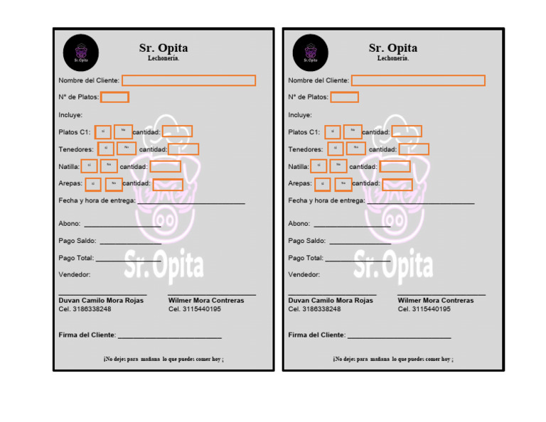 Formato Pedido SR Opita | PDF