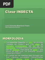 Anatomia de La Mosca Presentacion | PDF