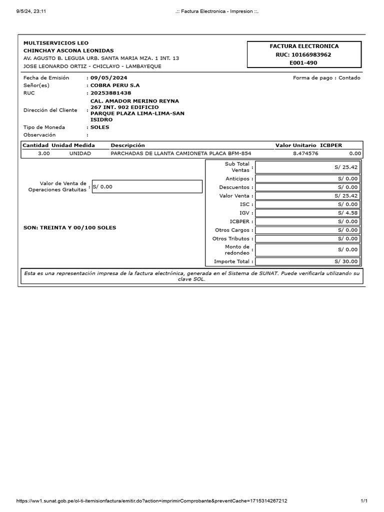 Cobra Peru | PDF | Servicios (economía) | Tecnologías de la información