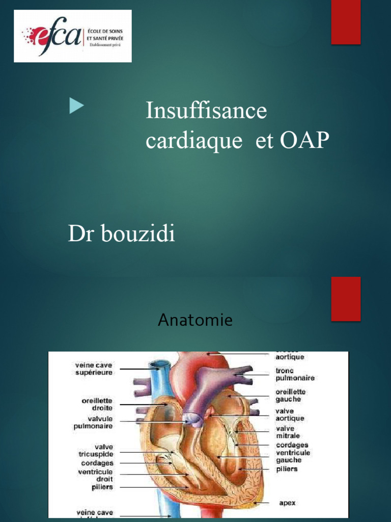 Insuffisance Cardiaque et OAP | PDF | Insuffisance cardiaque | Maladies ...