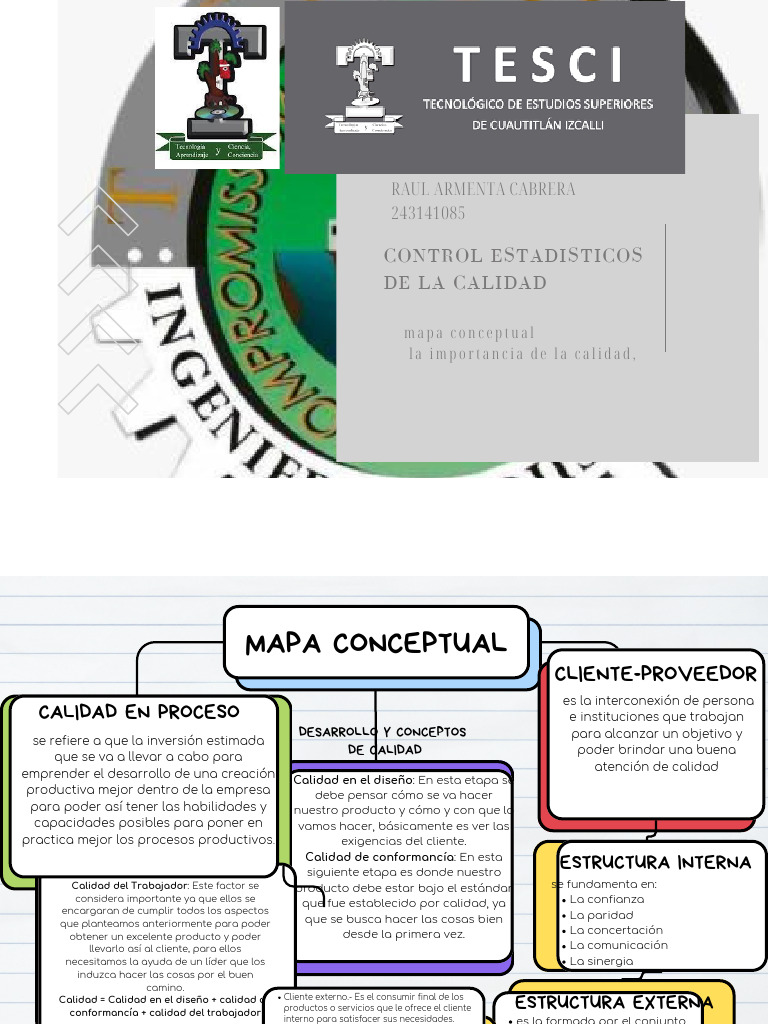 Raul Armenta Mapa1 | PDF | Calidad (comercial) | Cliente
