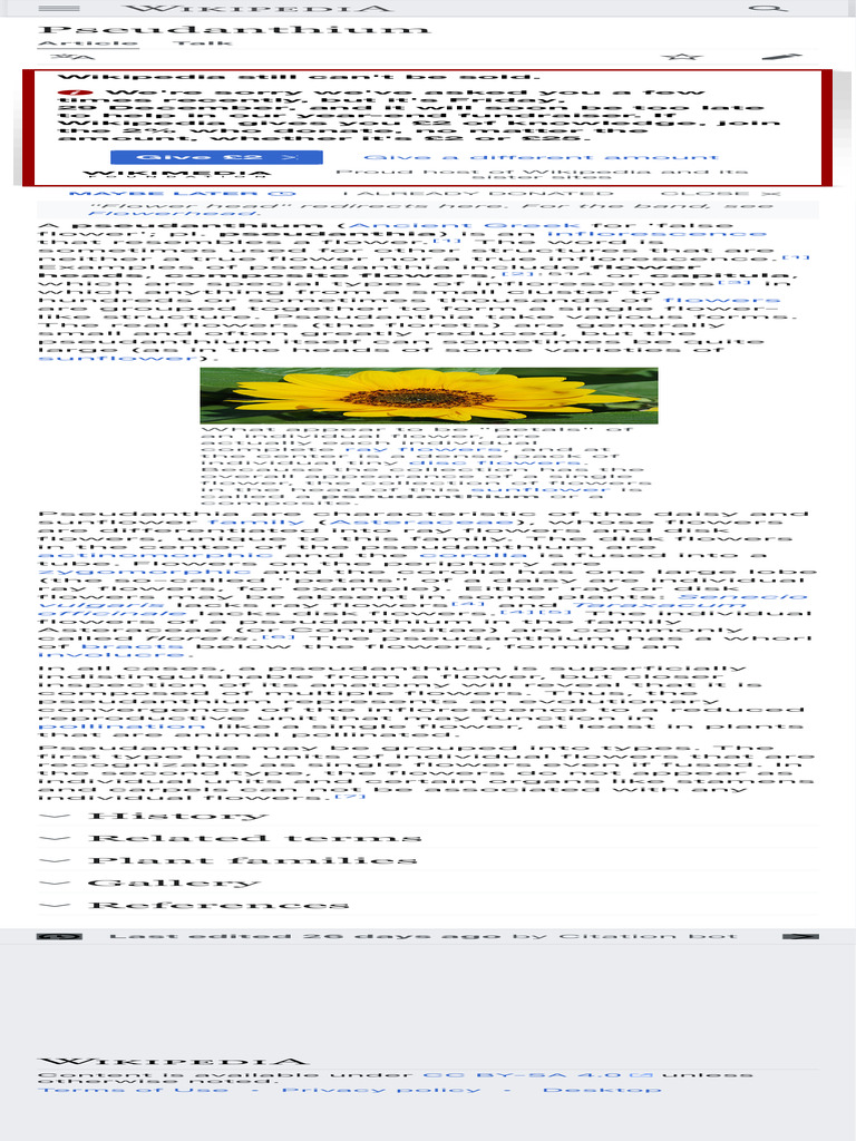 Pseudanthium - Wikipedia | PDF | Botany | Branches Of Botany