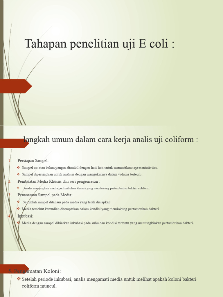 Uji E. Coli 2023 | PDF