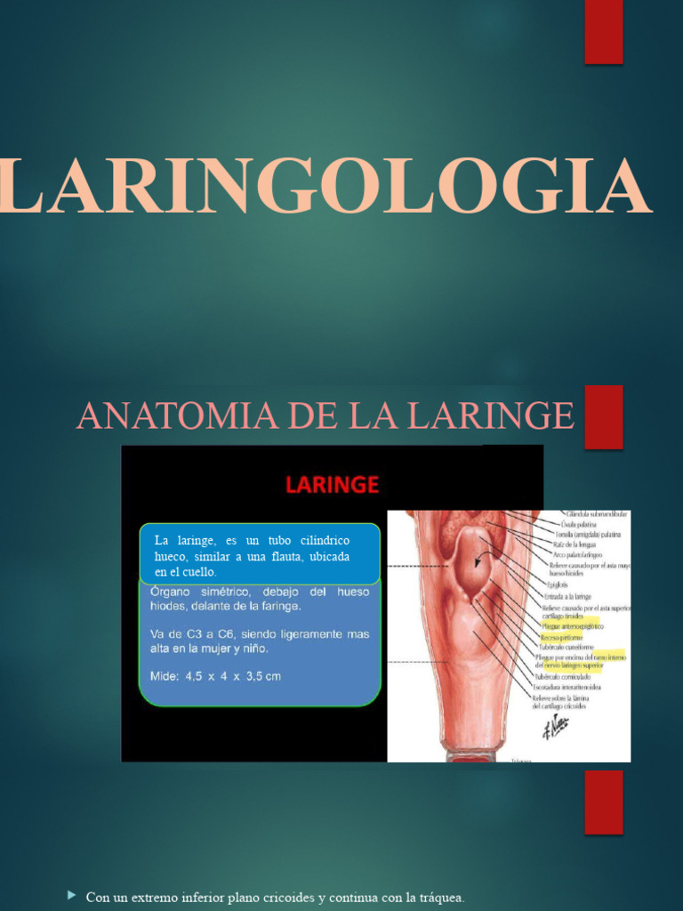 LARINGOLOGIA | PDF | Laringe | Medicina CLINICA