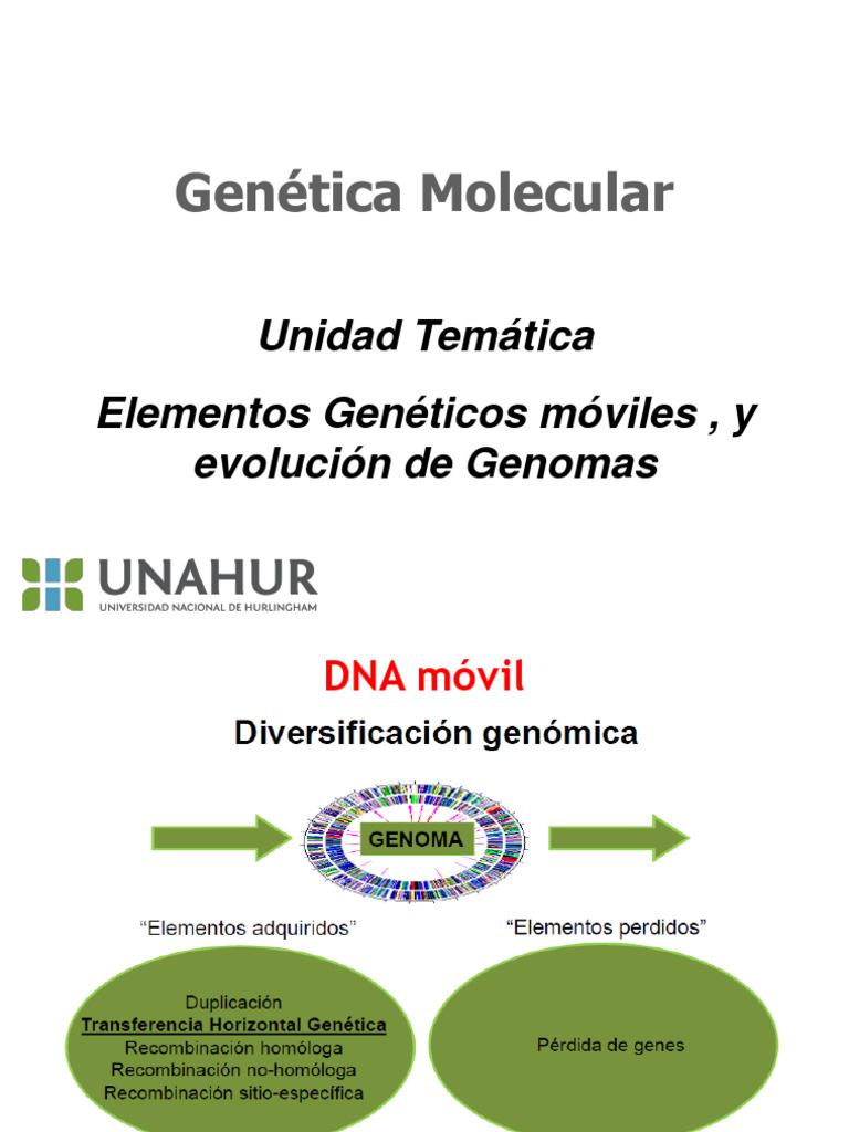 Elementos Genéticos Móviles en Genomas | PDF | Elemento transponible ...