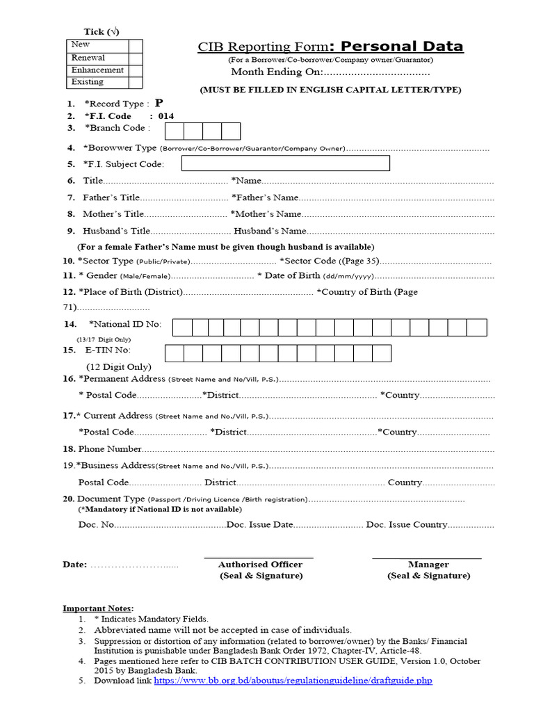 1 CIB Reporting Form - Personal Data5471 | PDF | Government And Personhood