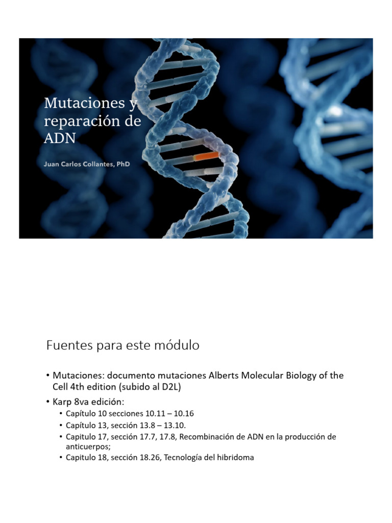15 Mutaciones y Reparación de ADN - BM202320 | PDF | Adn | Mutación