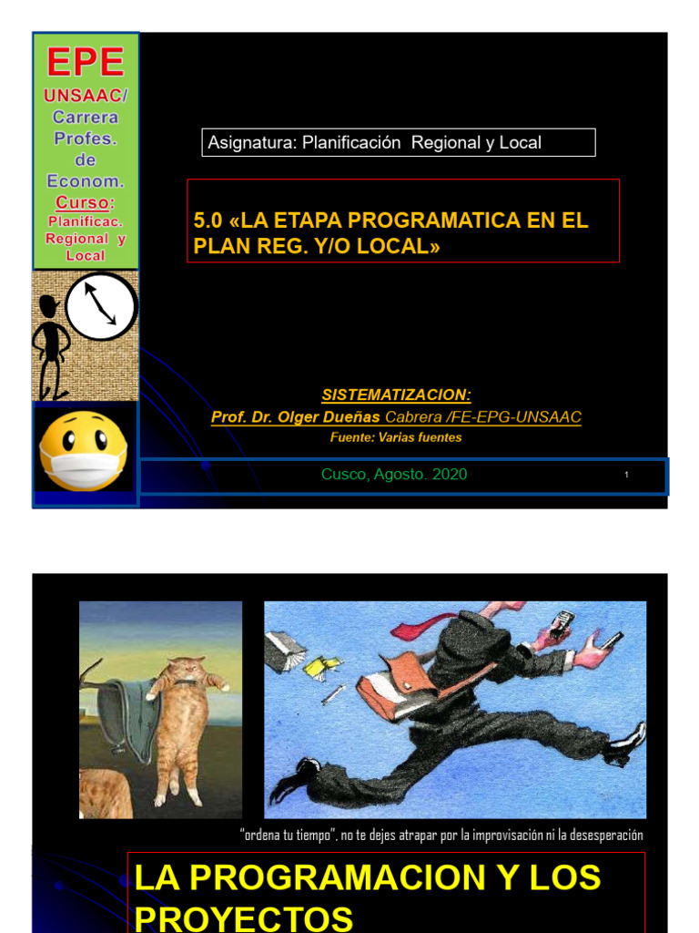 Cap5 - EtapaProgramática Del Plan - 2020 | PDF | Planificación