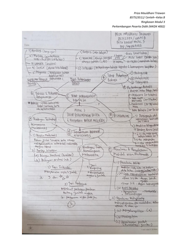 (Modul 3) Peta Konsep-Resume PPD - Priza M Triawan 857523511 | PDF