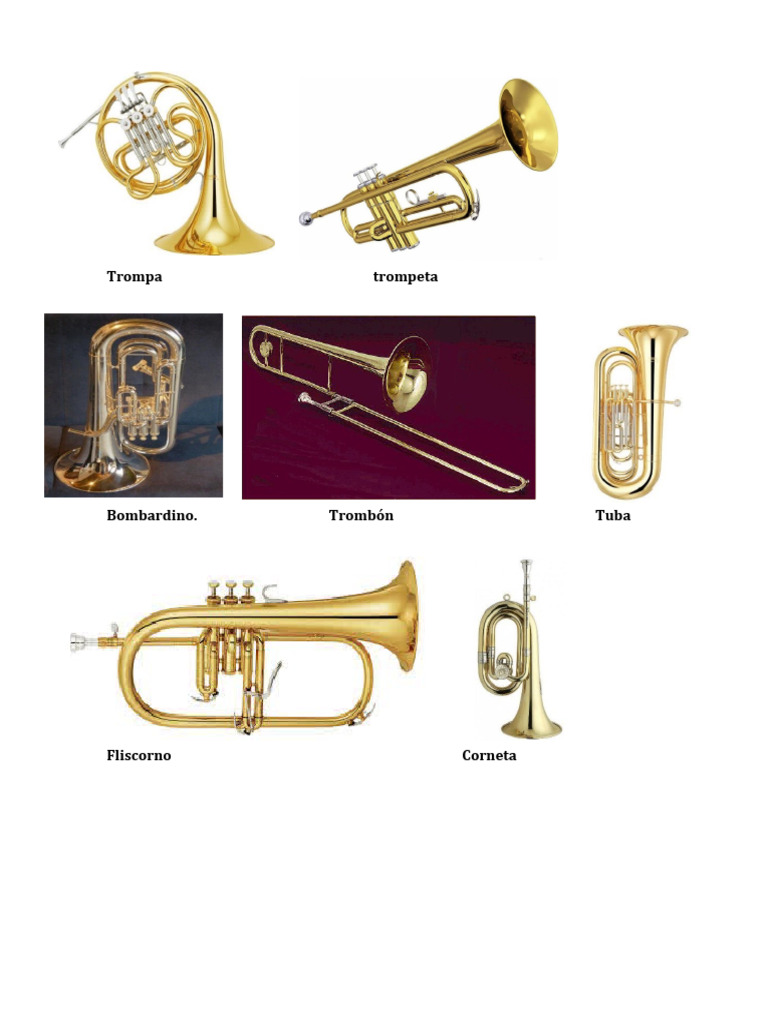 Instrumentos de Viento, Cuerda y Percusión | PDF