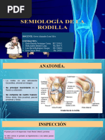 Pruebas de Bostezo en Rodilla | PDF | Rodilla | Medicina CLINICA