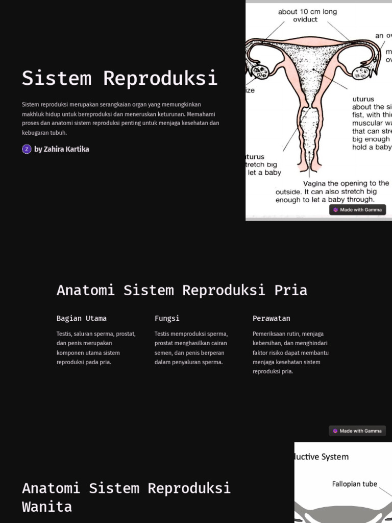Sistem Reproduksi | PDF