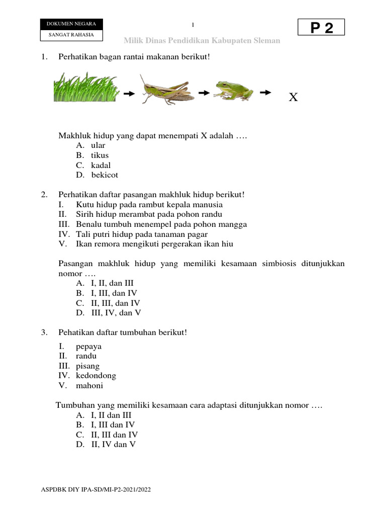 2.aspd Sd-Ipa-P2 | PDF | Ilmu Sosial | Kajian Bahasa Asing