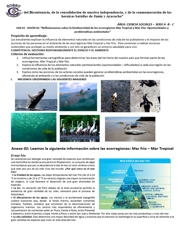 CC - SS - Material - 2DA Sesión 3ERO 3ERA UDA | PDF | Mangle | Mar