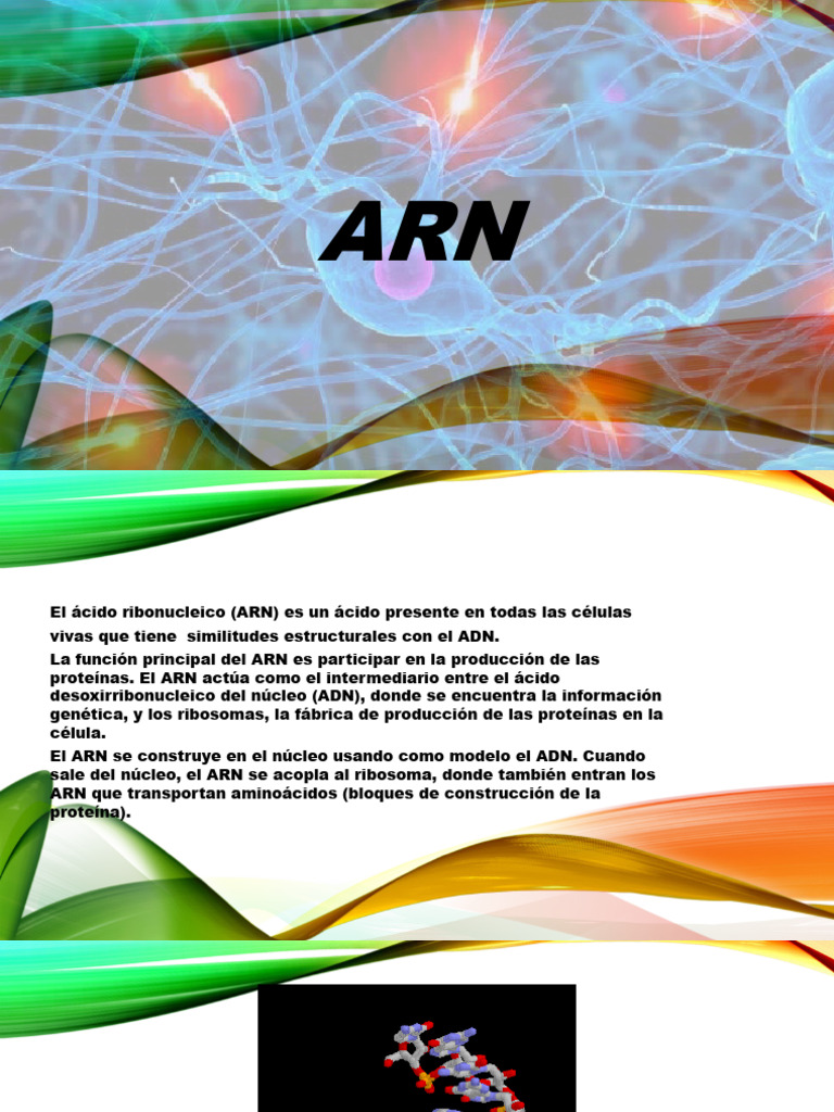 presentacion de ARN | PDF | Rna | Adn