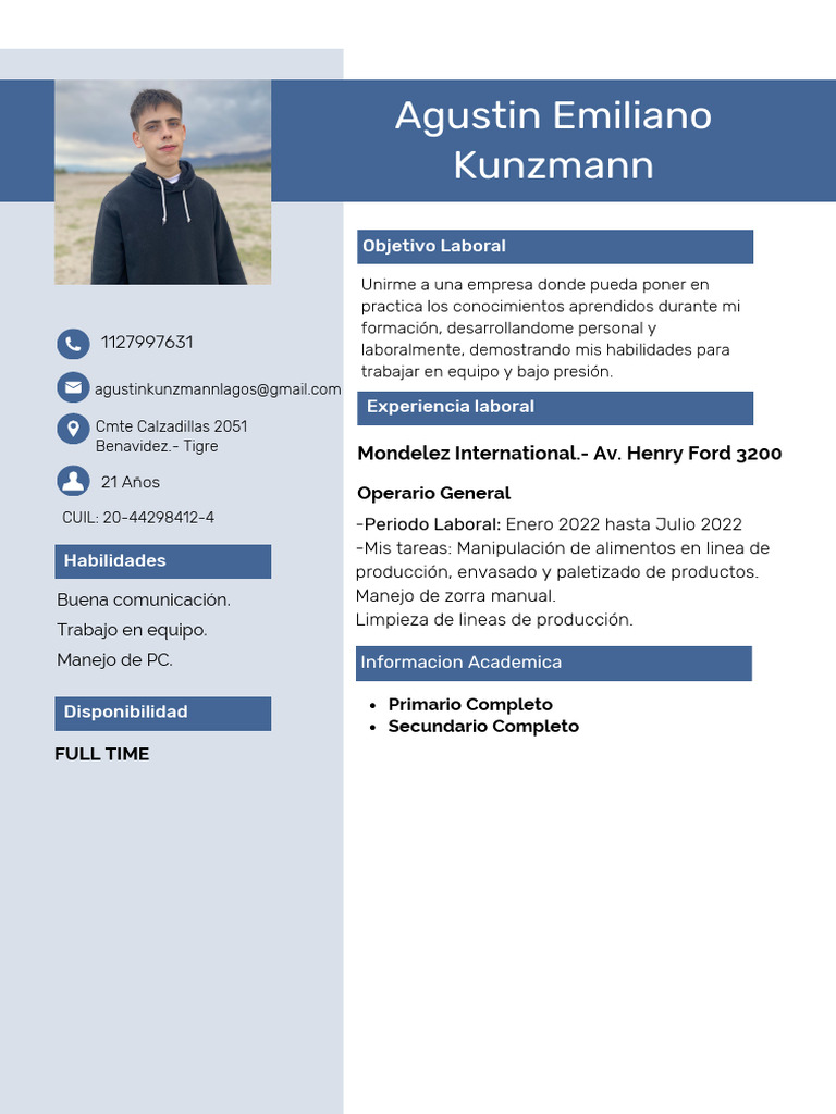 Perfil Laboral de Agustín Kunzmann | PDF