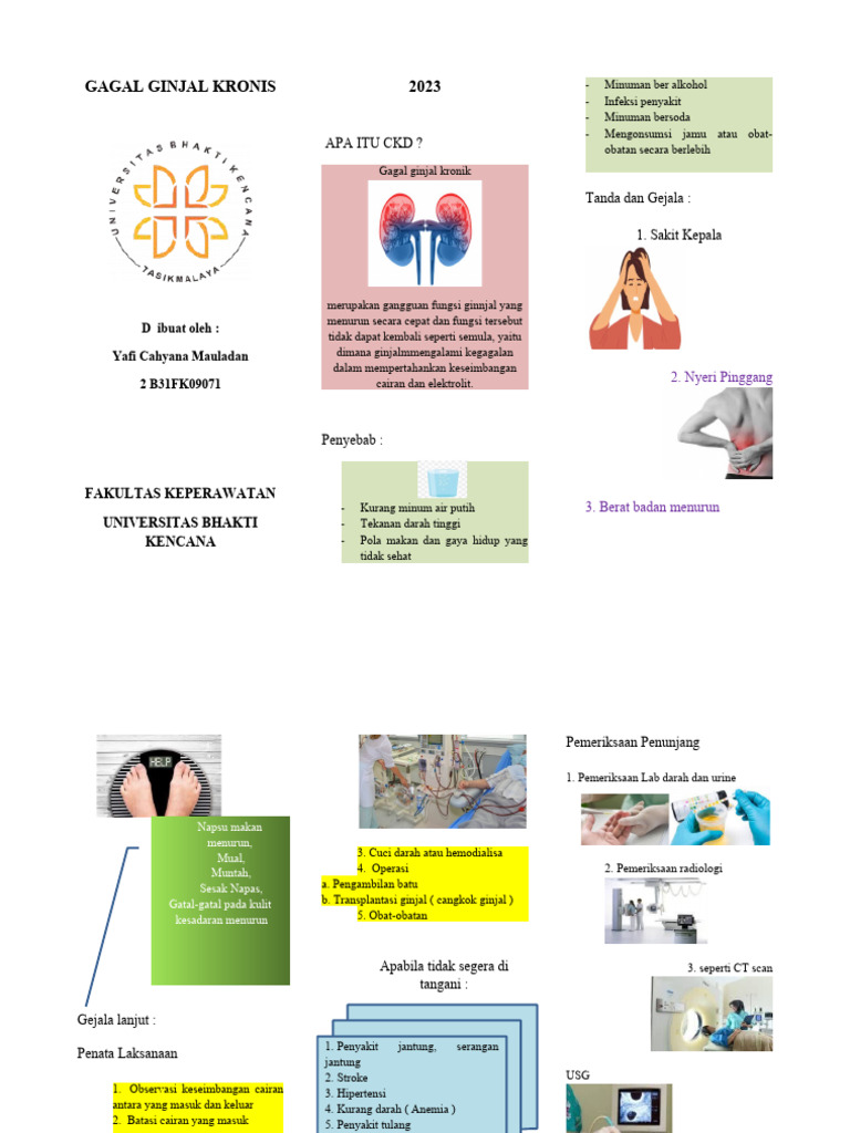 Leaflet CKD | PDF