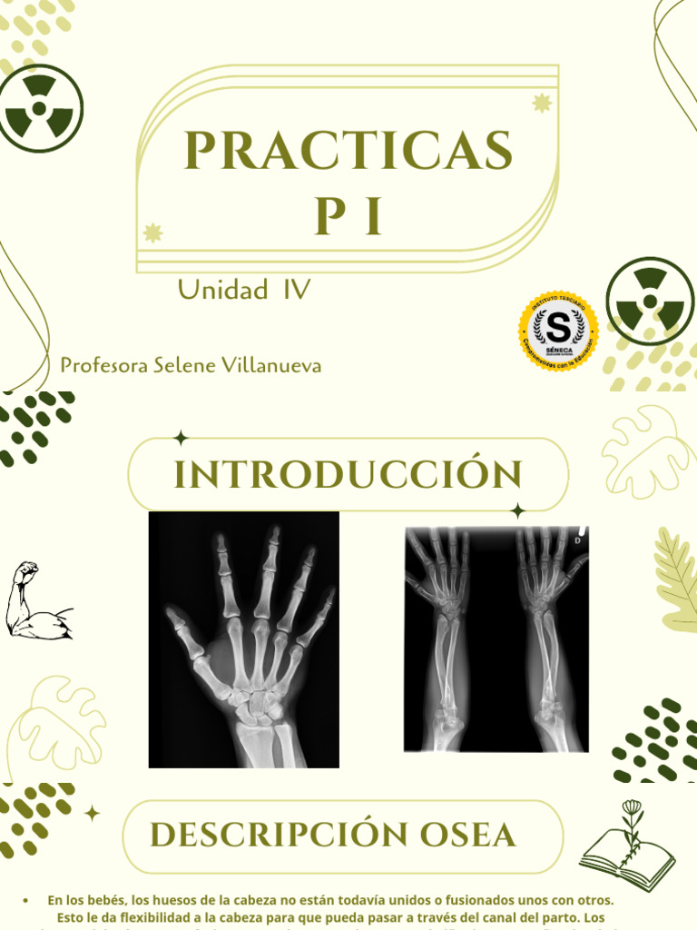 Clase 7 FX MS | PDF | Hueso | Sistema esquelético