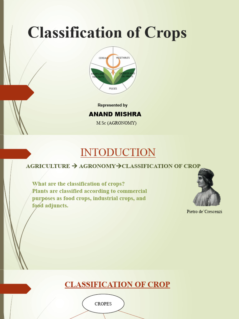 Crop Classification Guide | PDF