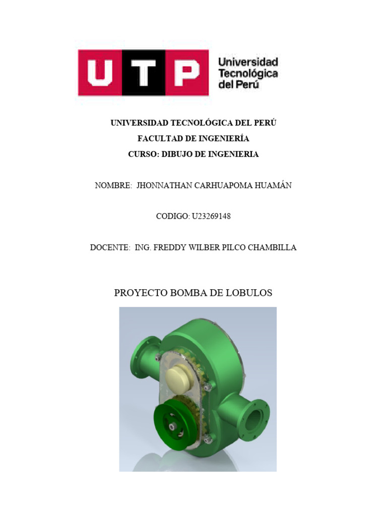 Propuesta de Proyecto-Bomba de Lobulos | PDF | Bomba | Líquidos