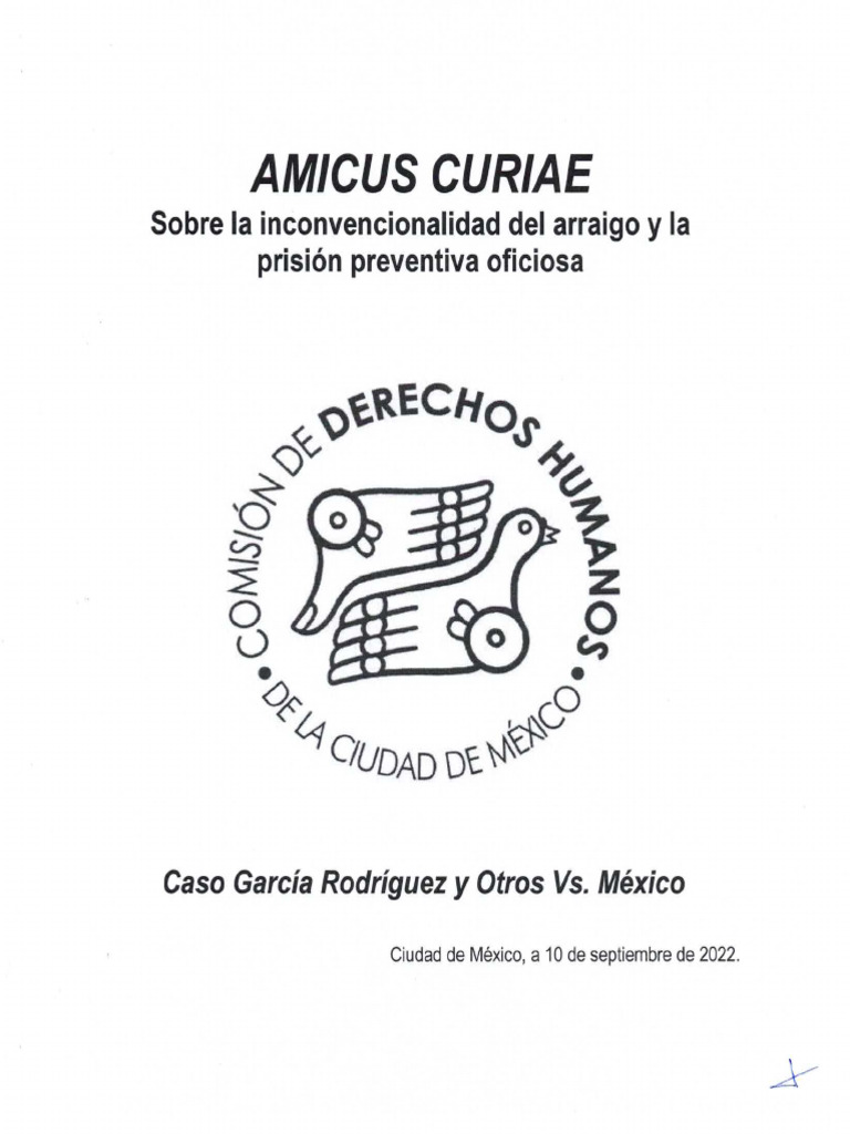 AMICUS CURIAE CoIDH CASO GARCIA RODRIGUEZ Y OTROS VS MEXICO ...