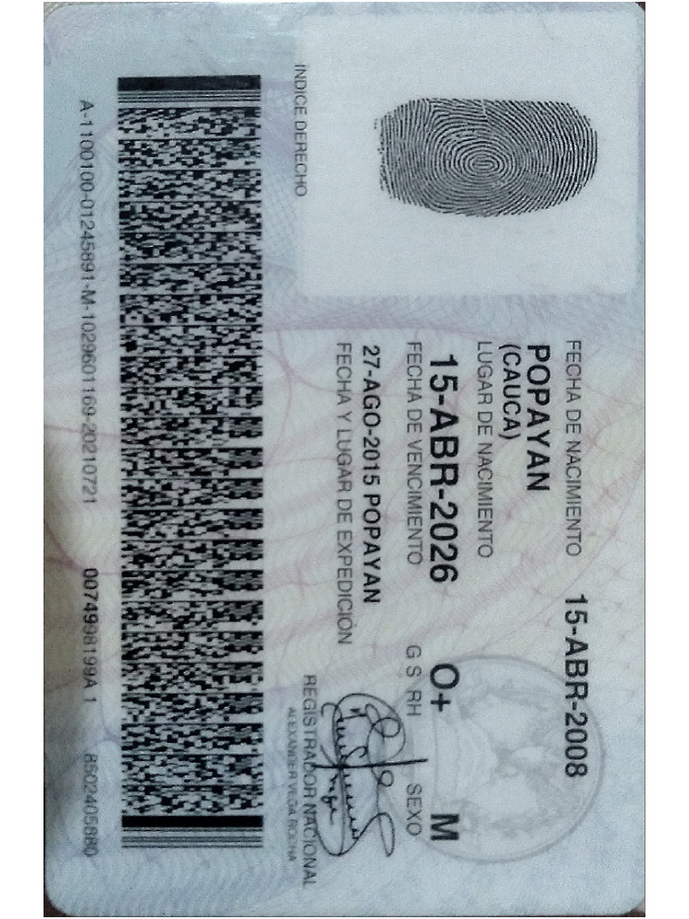 Identificación Parte Trasera | PDF