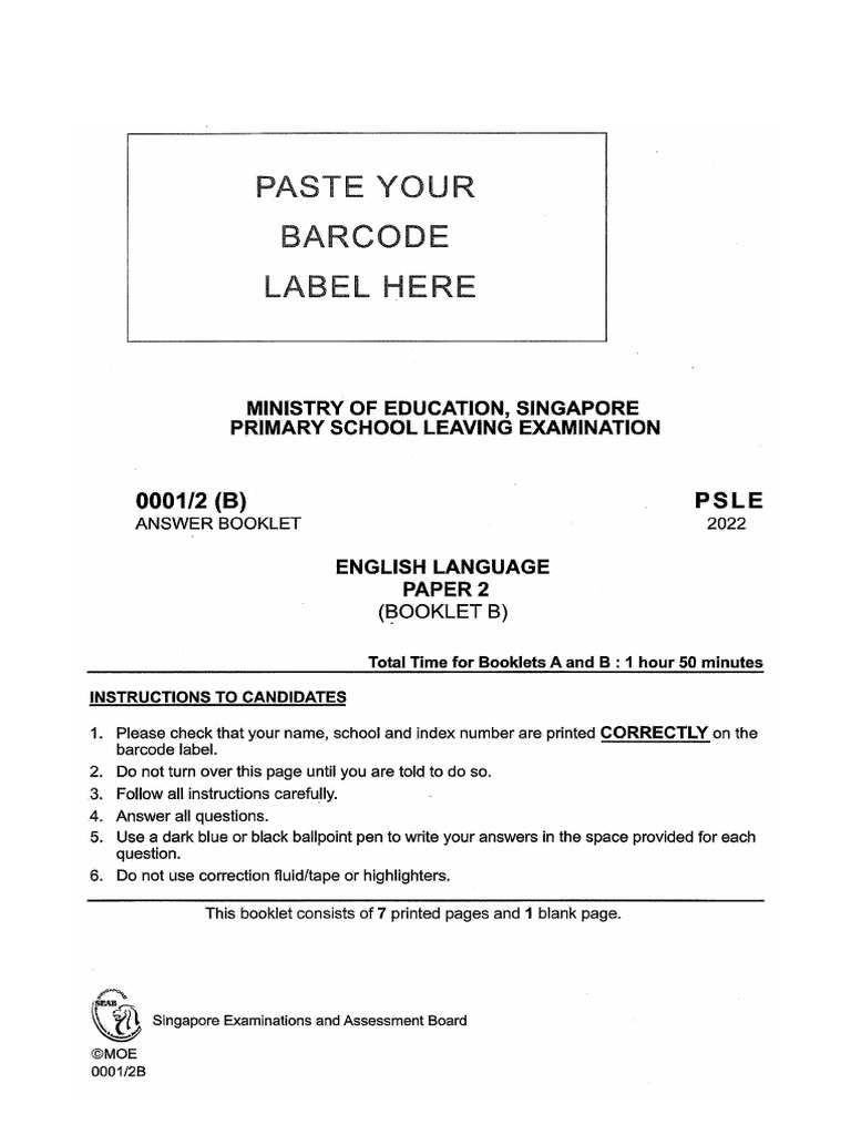 PSLE English 2022 Paper 2 Booklet B | PDF